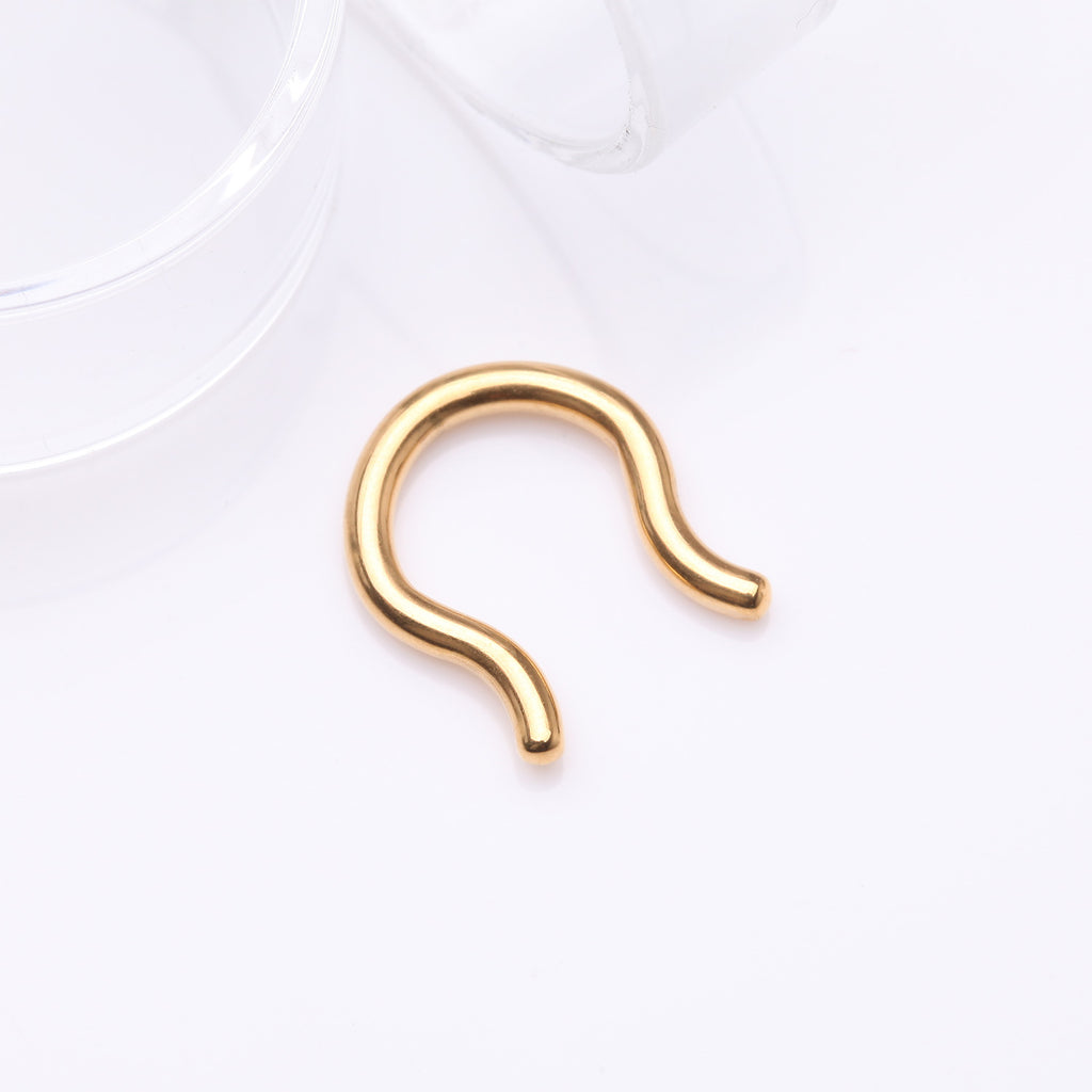 Implant Grade Titanium Gold PVD Basic Septum Retainer - 18 GA (1mm ...
