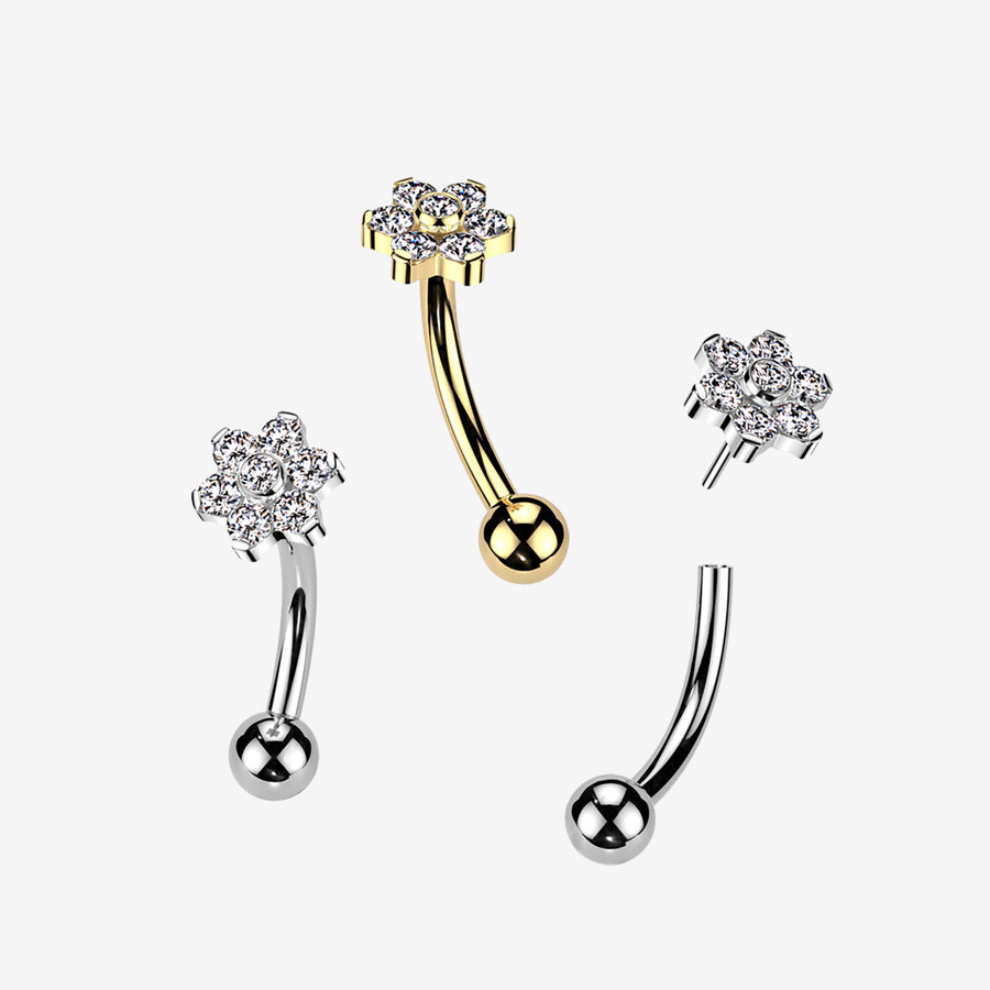 Curved Barbells - BM25 Body Jewelry